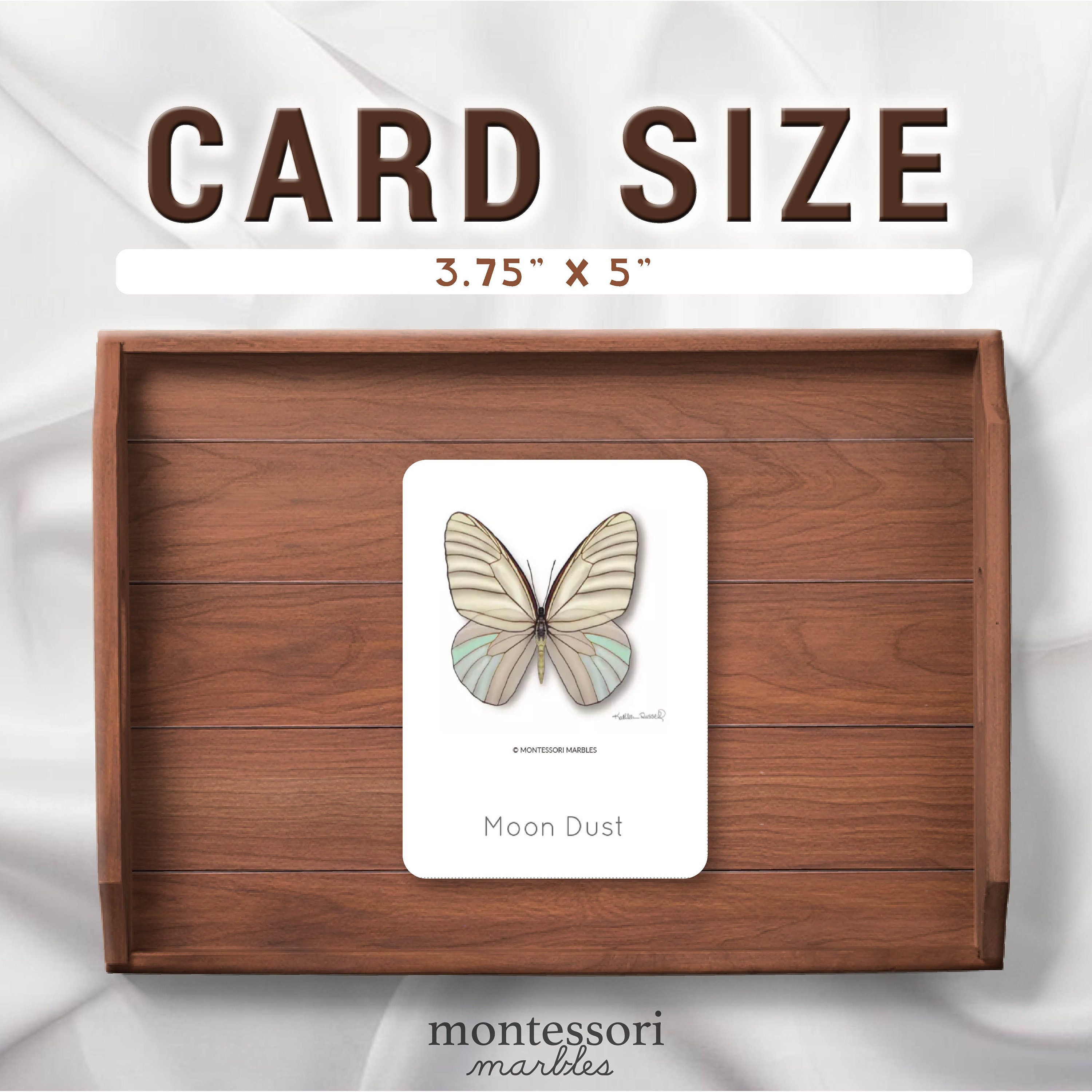 MARIPOSA Tarjetas de nomenclatura Montessori / Tipos de - Etsy México