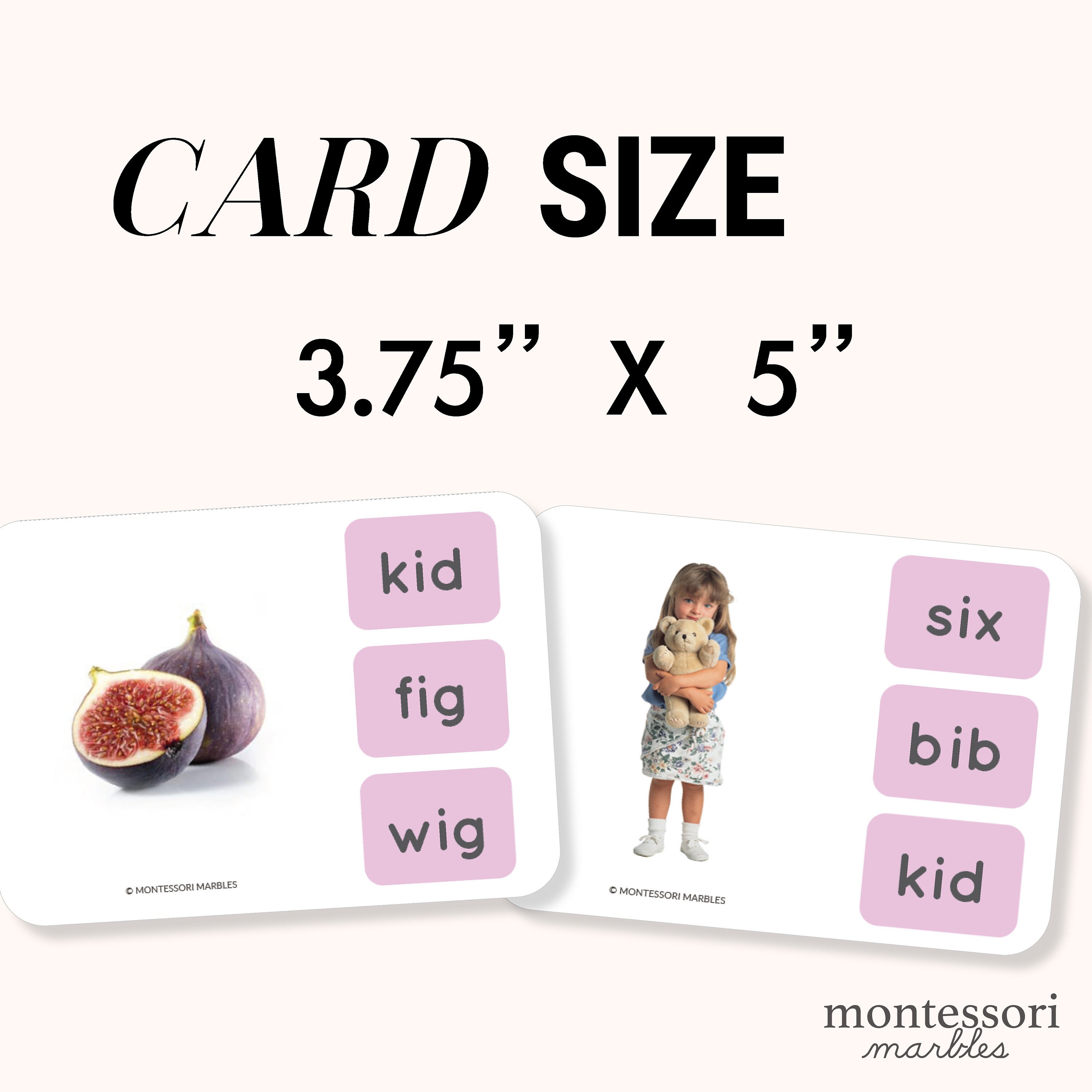 Montessori Pink Series Name the Objects SHORT I Flash Card - Etsy