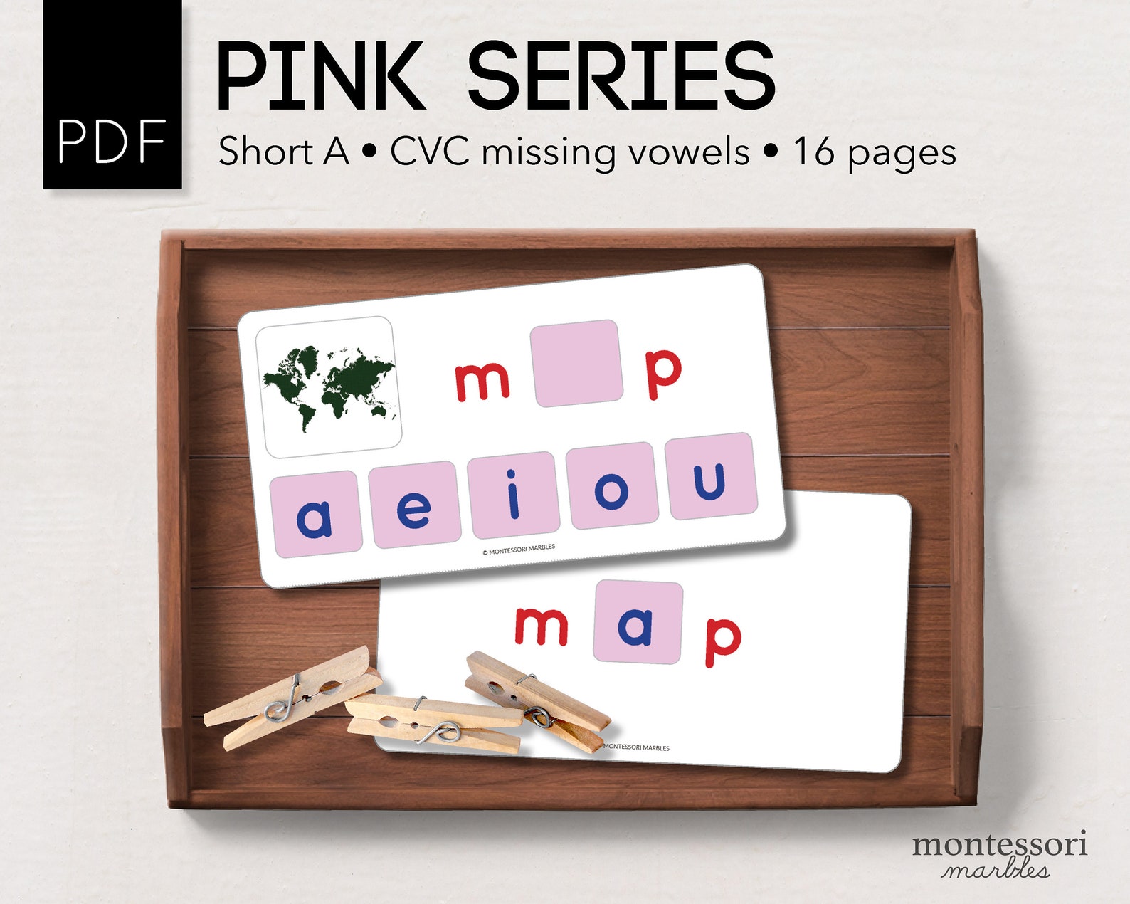 Montessori Pink Series Missing Vowel Short A Printable | Etsy