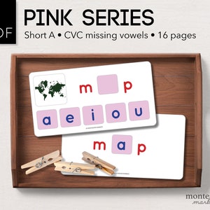 Montessori Pink Series Missing Vowel Short A Printable | Etsy