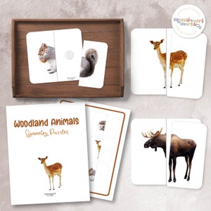 Woodland Animals Two-piece Puzzles | Symmetry Matching Game | Ages 3-6 ...