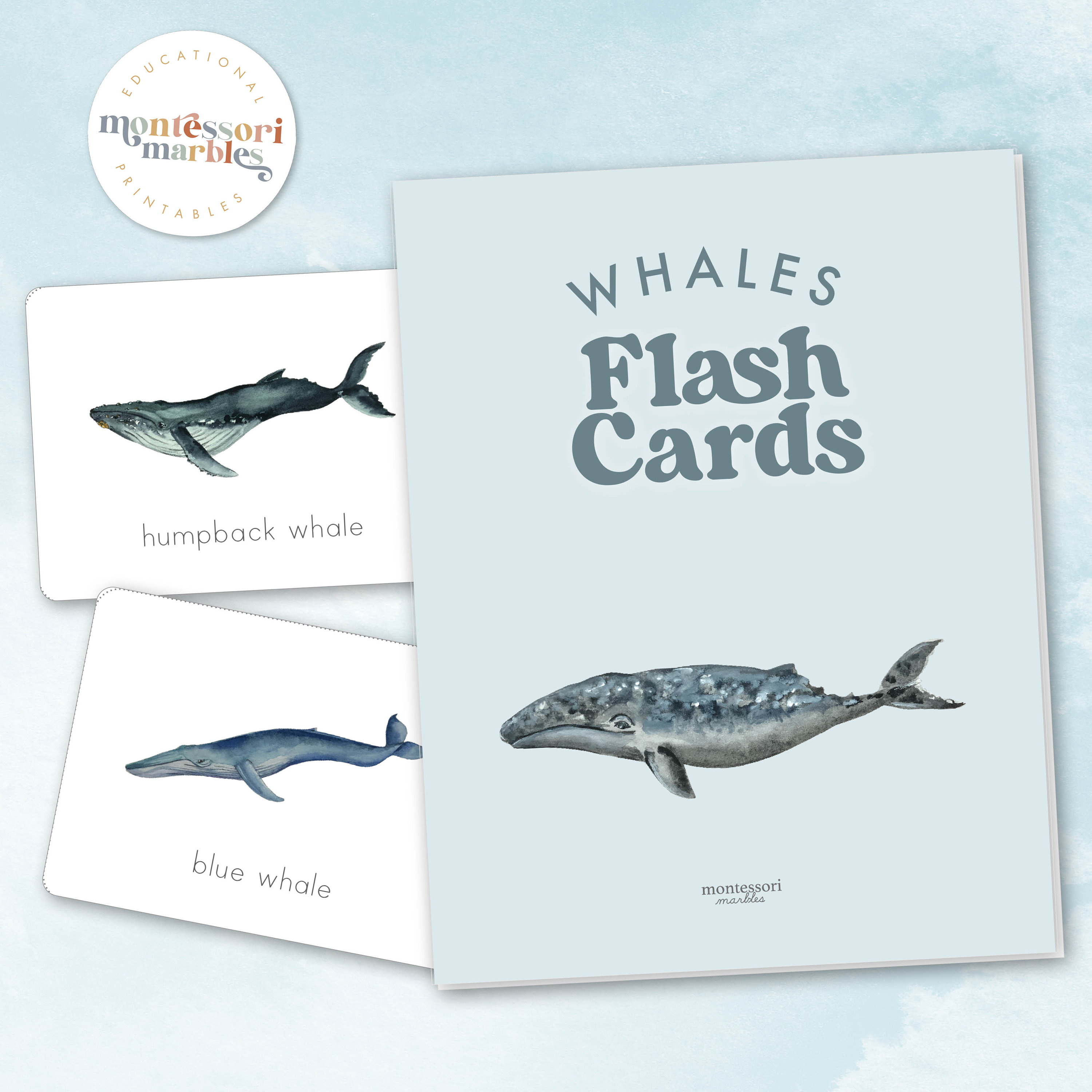 Whales Flash Cards PDF | 8 Whale Species Ages 3-8 | Ocean Animals ...