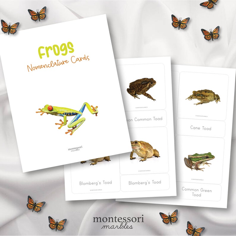 FROGS Montessori Nomenclature Cards Types of Frogs Spring Unit ...