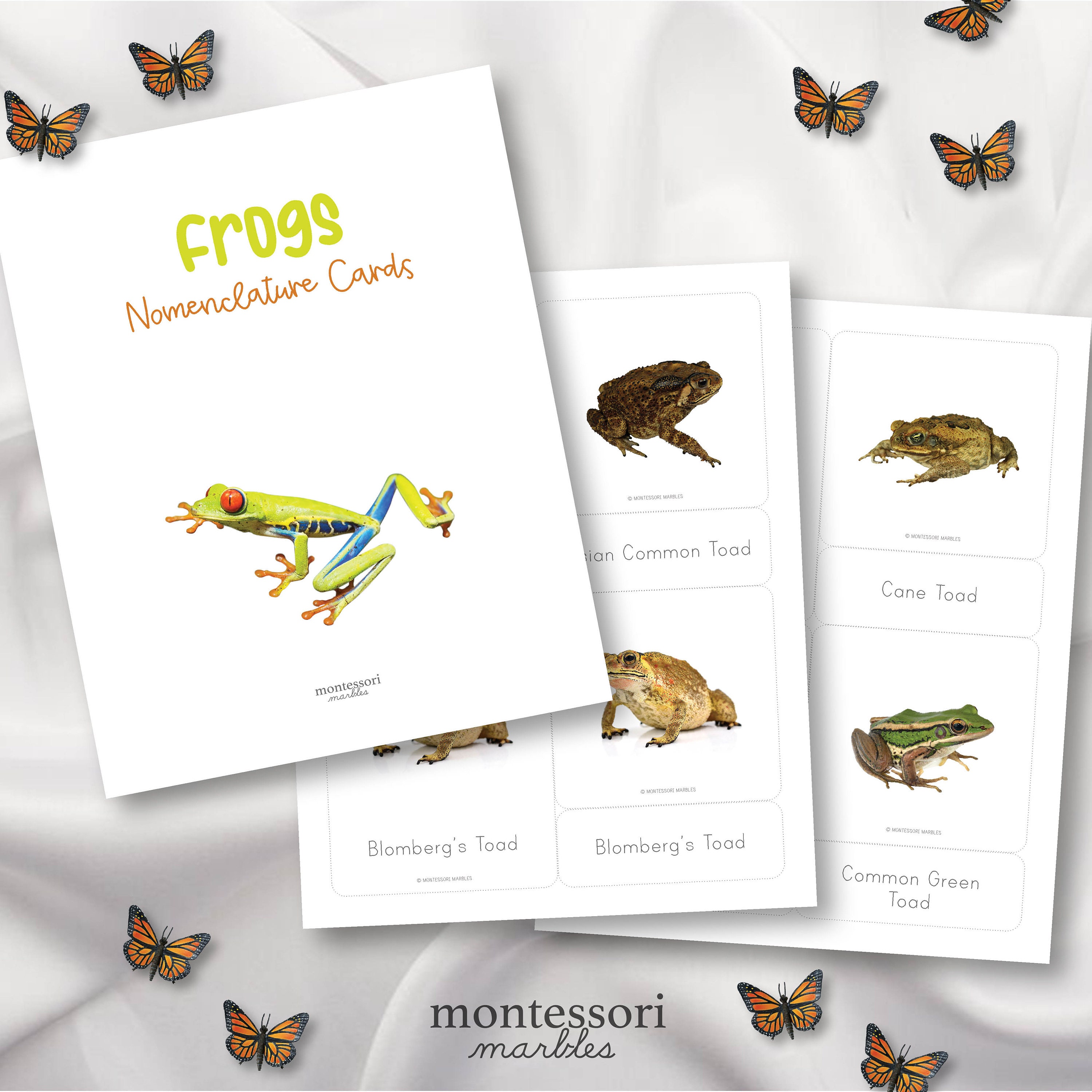 FROGS Montessori Nomenclature Cards Types of Frogs Spring Unit ...