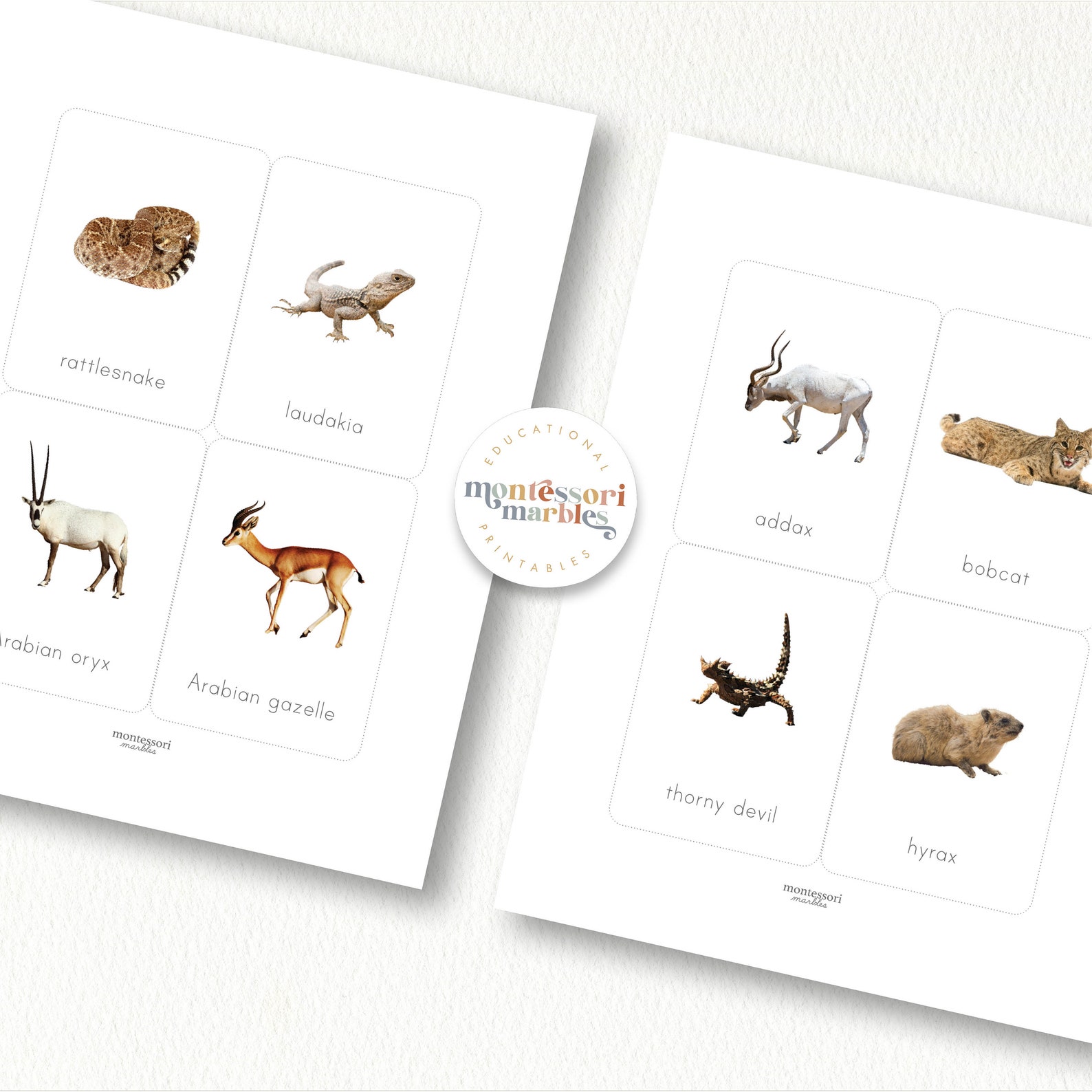 Desert Animals Flash Cards | Montessori Zoology Vocabulary | Real Photo ...
