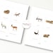DESERT ANIMALS Flash Cards | Vocabulary Builder | Montessori Inspired ...
