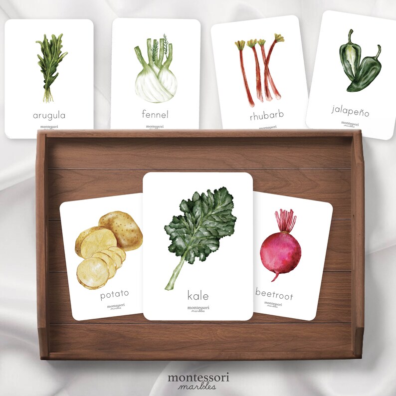 VEGETABLE Flash Cards Montessori Inspired Resources for - Etsy