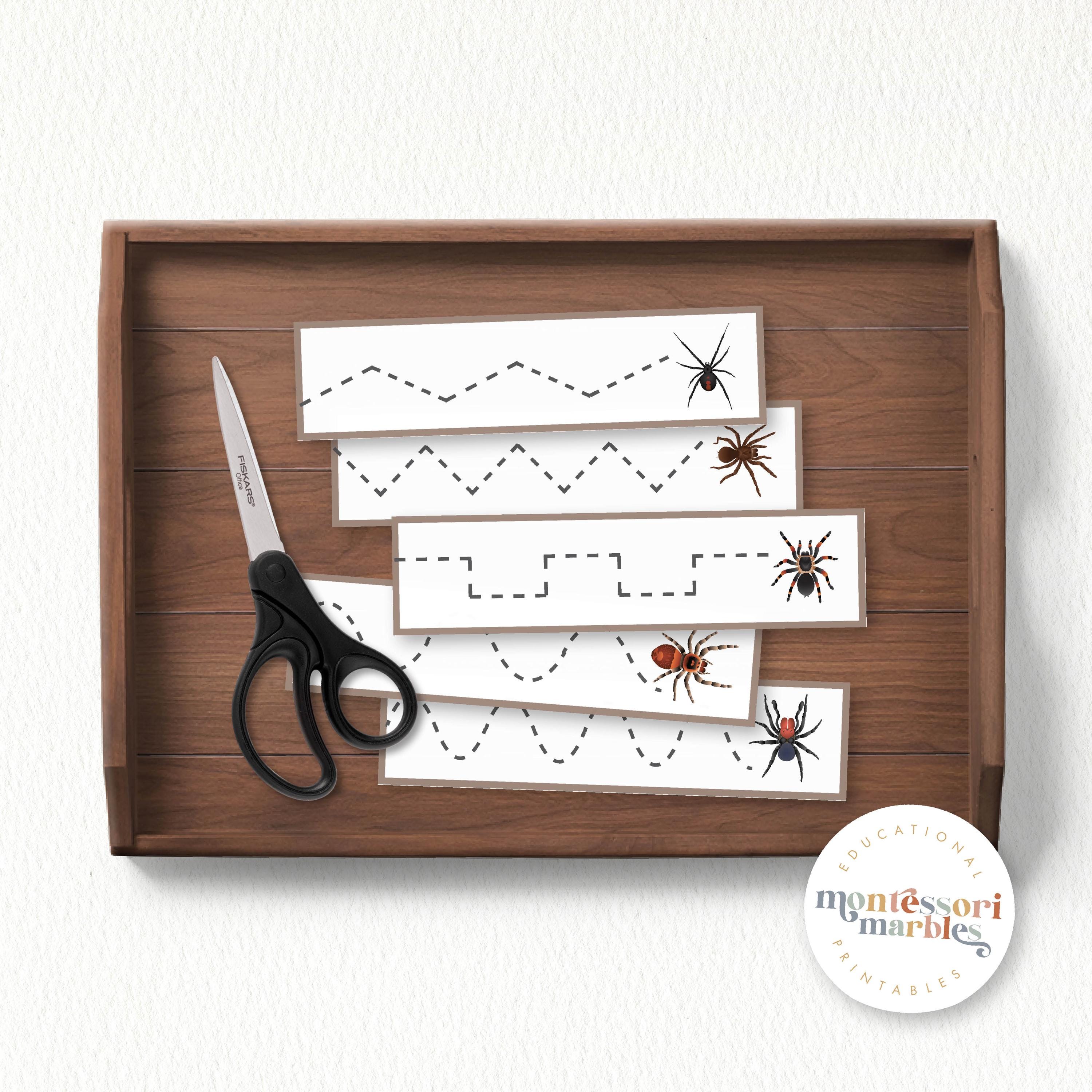 Spiders Cutting Strips | Scissor Practice Fine Motor Skills | Ages 2-5 ...