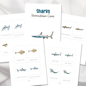 SHARKS Nomenclature Cards Types of Sharks Watercolor Sharks Flash Cards ...