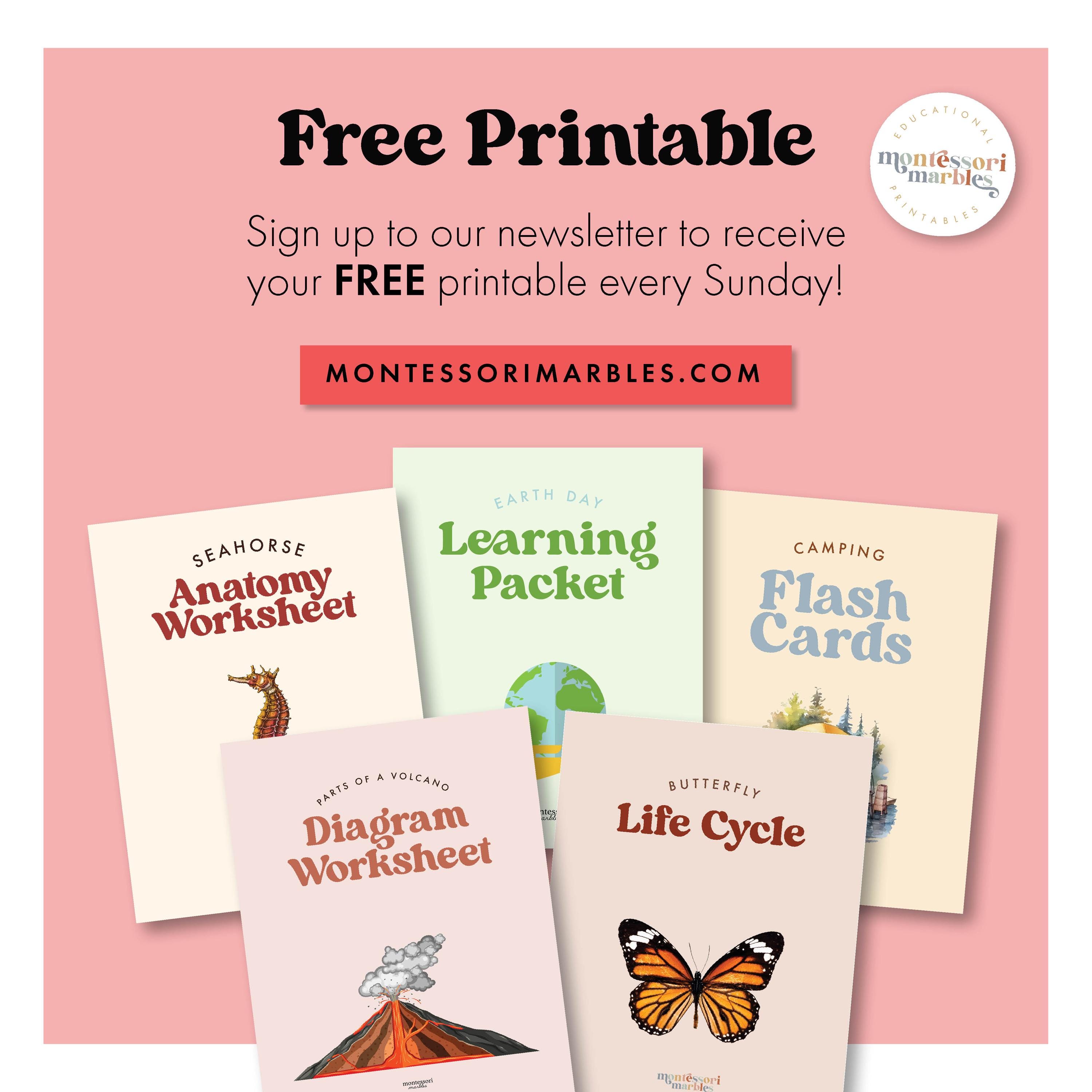 Fruits Magnifying Matching Game | Montessori Learning | Visual ...
