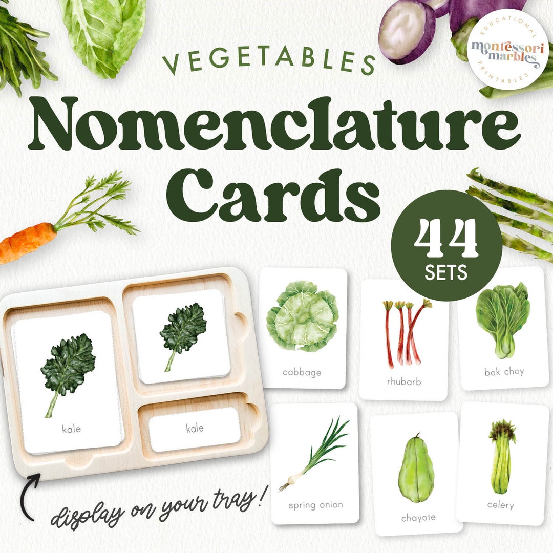 VEGETABLES Montessori Nomenclature 3-part Cards | Vocabulary Cards ...
