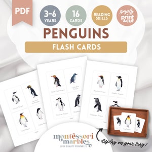 Penguins Montessori Flash Cards: Nature-based Learning (digital ...