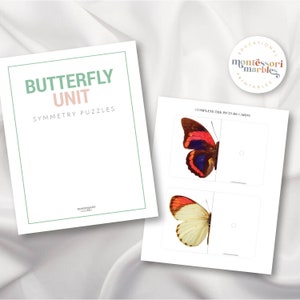 BUTTERFLY Symmetry Puzzles Montessori Inspired Visual Activity Spring ...