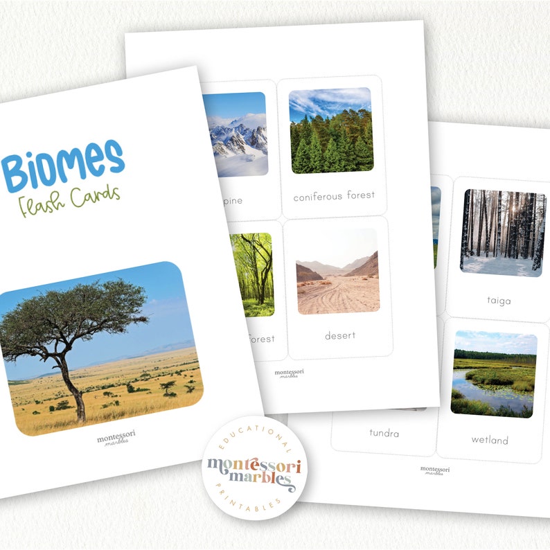 Biomes Geography Flash Cards | Montessori Cultural | Real Photos ...
