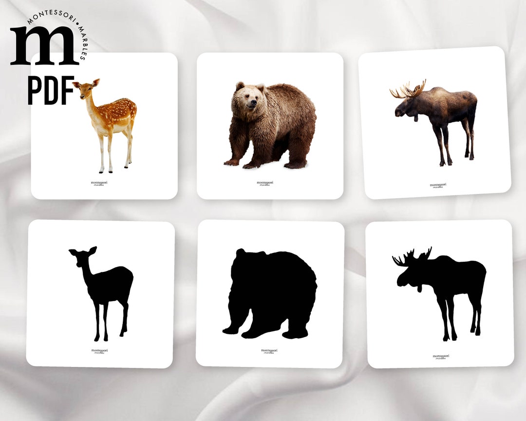 WOODLAND ANIMALS Shadow Matching Montessori Inspired - Etsy