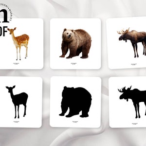 WOODLAND ANIMALS Shadow Matching Montessori Inspired Silhouette ...