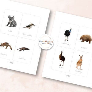 AUSTRALIAN ANIMALS Flash Cards Montessori Inspired Learning Resources ...