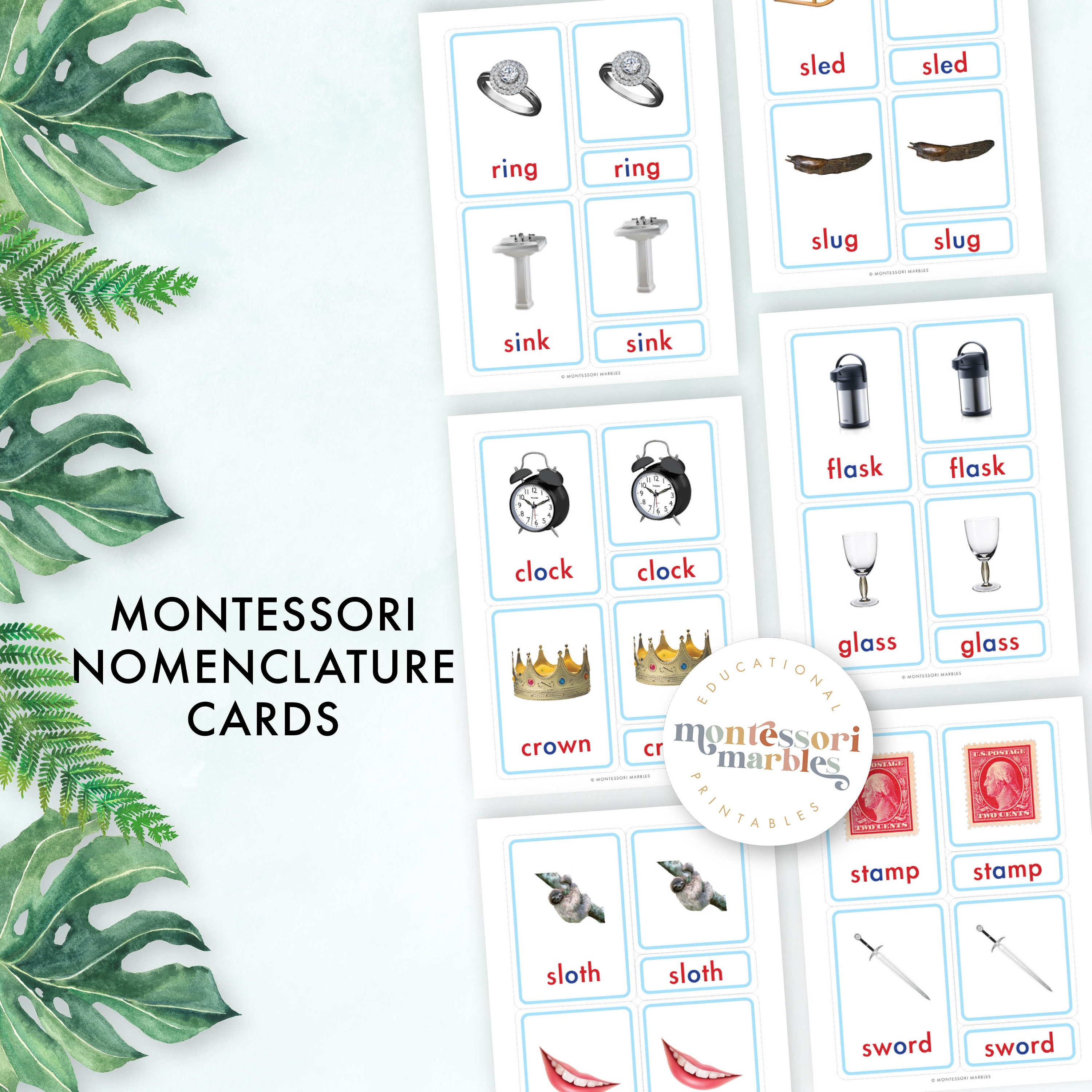 Blue Series Nomenclature Cards | Montessori Language | Consonant Blends ...
