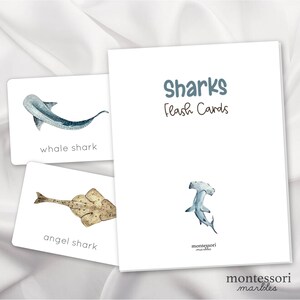 SHARKS Flash Cards Types of Sharks Watercolor Sharks Flash Cards ...