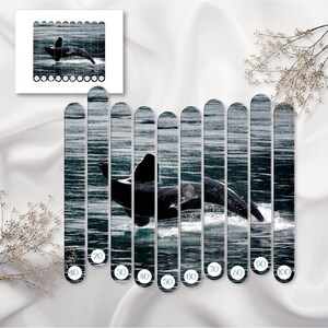 WHALES Skip Counting by 2s, 3s, 5s and 10s, Early Math, Math Puzzles ...