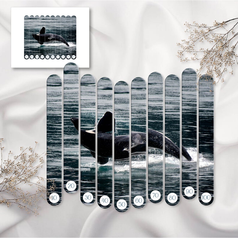 WHALES Skip Counting by 2s, 3s, 5s and 10s, Early Math, Math Puzzles ...