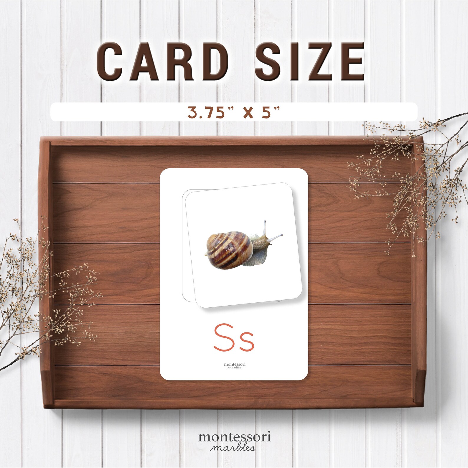 BEGINNING SOUNDS Matching Cards Montessori Activity Cards - Etsy