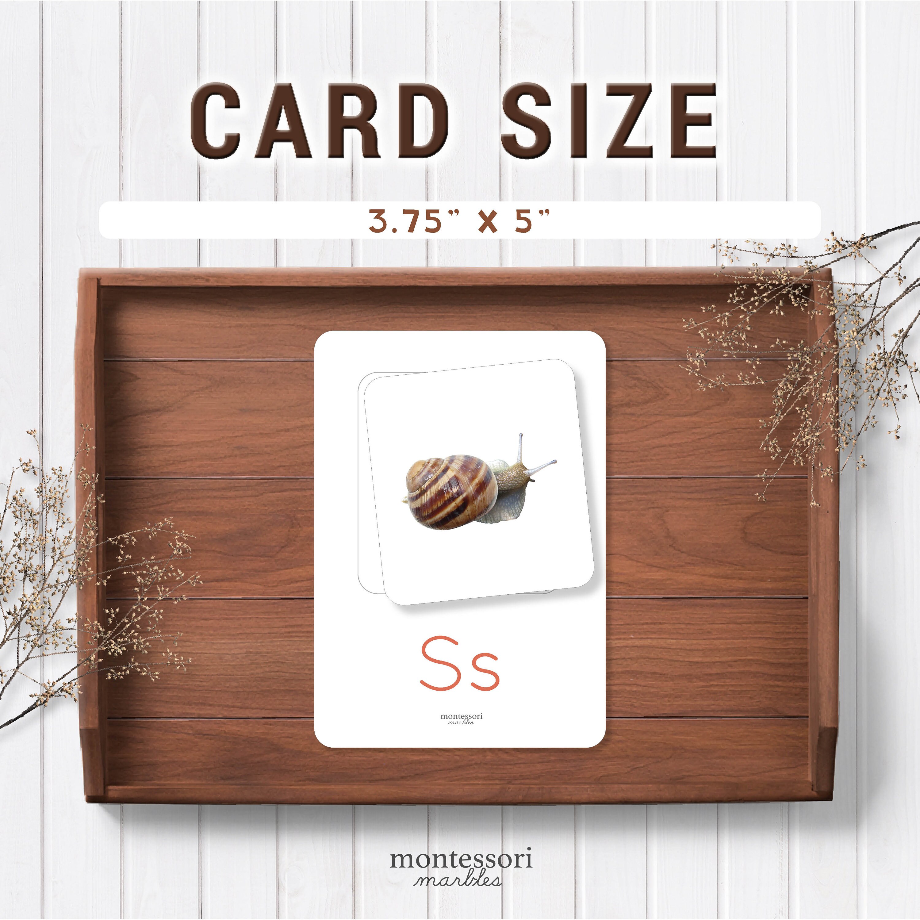 BEGINNING SOUNDS Matching Cards Montessori Activity Cards - Etsy