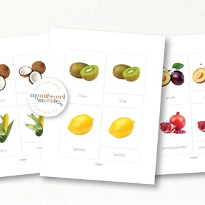 FRUITS Nomenclature Cards | Montessori Inspired Resources With Real ...