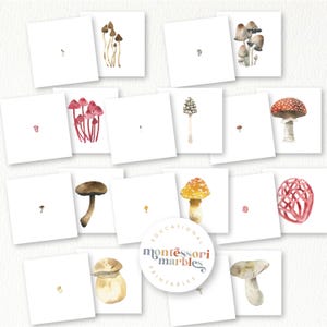 Mushroom Activity Bundle | Montessori Science | Nature Study Workbook ...