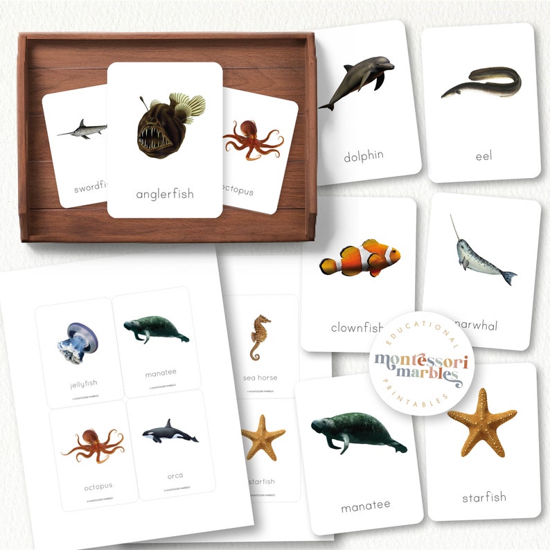 OCEAN ANIMALS Flash Cards | Montessori Inspired Resources With Real ...