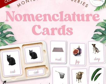 Montessori Pink Series Spelling CVC Words - Etsy