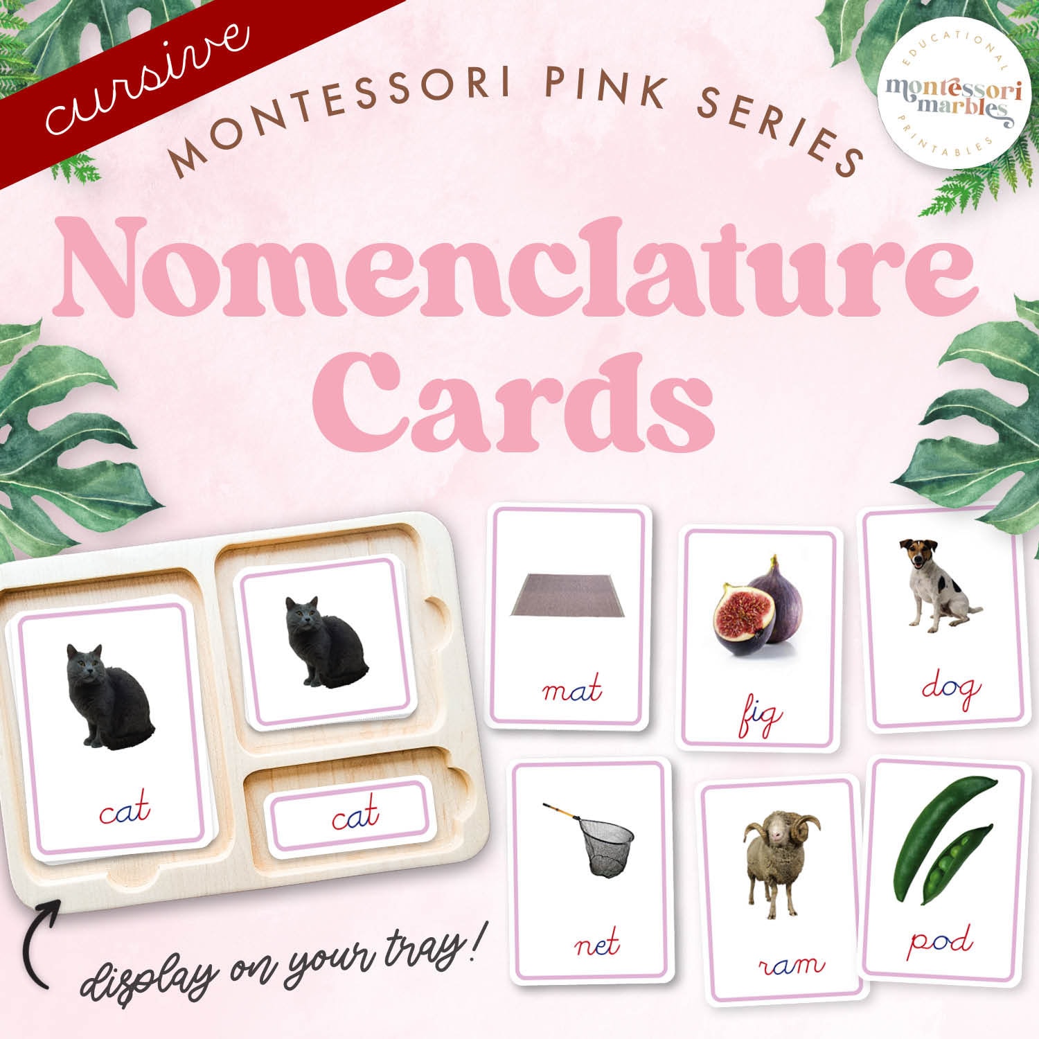 CURSIVE Montessori Nomenclature Cards, Pink Series, CVC Words, Short ...
