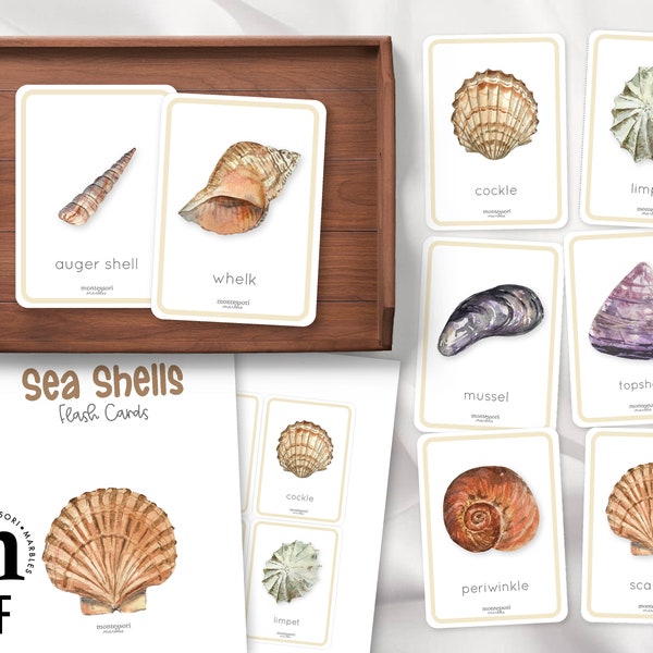 Flash Printable - Etsy