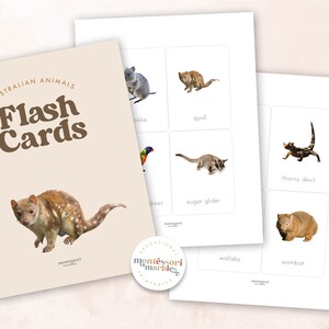 AUSTRALIAN ANIMALS Flash Cards Montessori Inspired Learning Resources ...