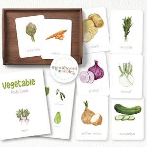 VEGETABLE Flash Cards Montessori Inspired Resources for Preschool ...