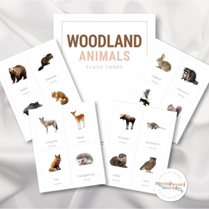WOODLAND ANIMALS Flash Cards Montessori Inspired Printable Resources ...