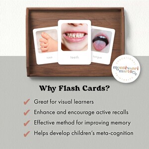 Human Body Parts Flash Cards | Montessori Homeschool Anatomy Printable ...
