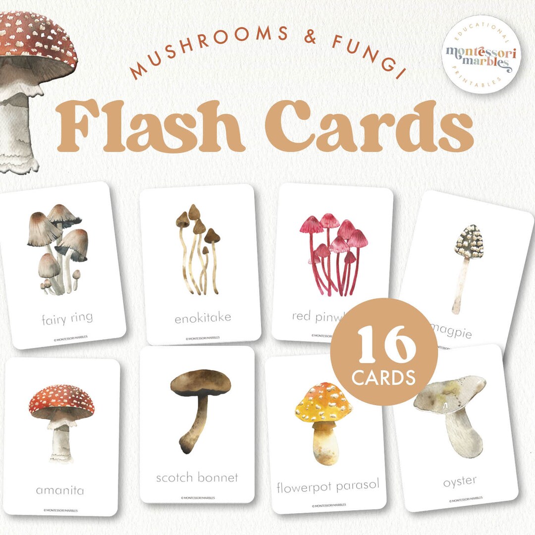 MUSHROOM Flash Cards Montessori Inspired Fall Autumn Vocabulary Builder ...