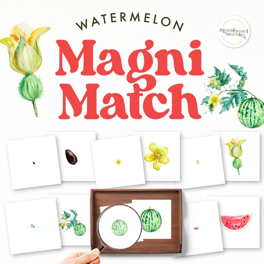 Watermelon Life Cycle Matching Game | Montessori Science | Preschool ...