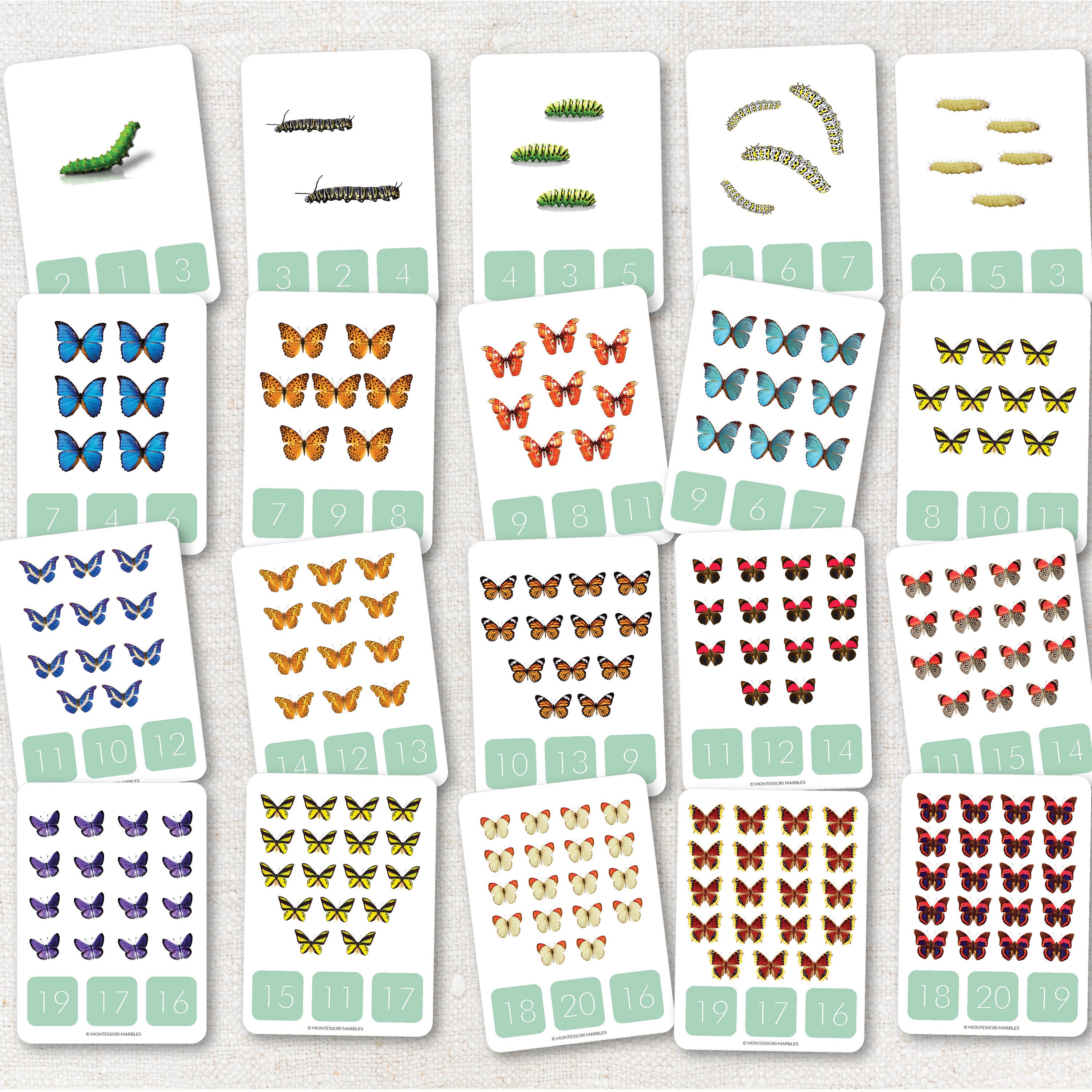 BUTTERFLY Counting 1 to 20 Kindergarten Math Learn to Count - Etsy