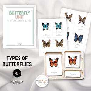 BUTTERFLY Mini Bundle | 4 Sensory and Fine Motor Activities for ...