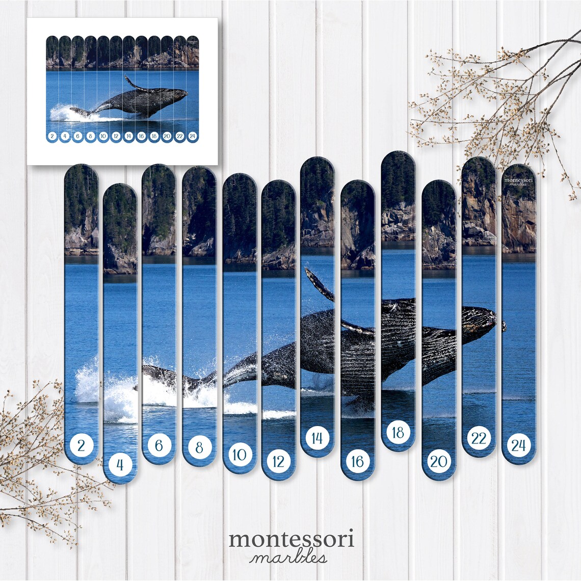 WHALES Skip Counting by 2s 3s 5s and 10s Early Math Math - Etsy