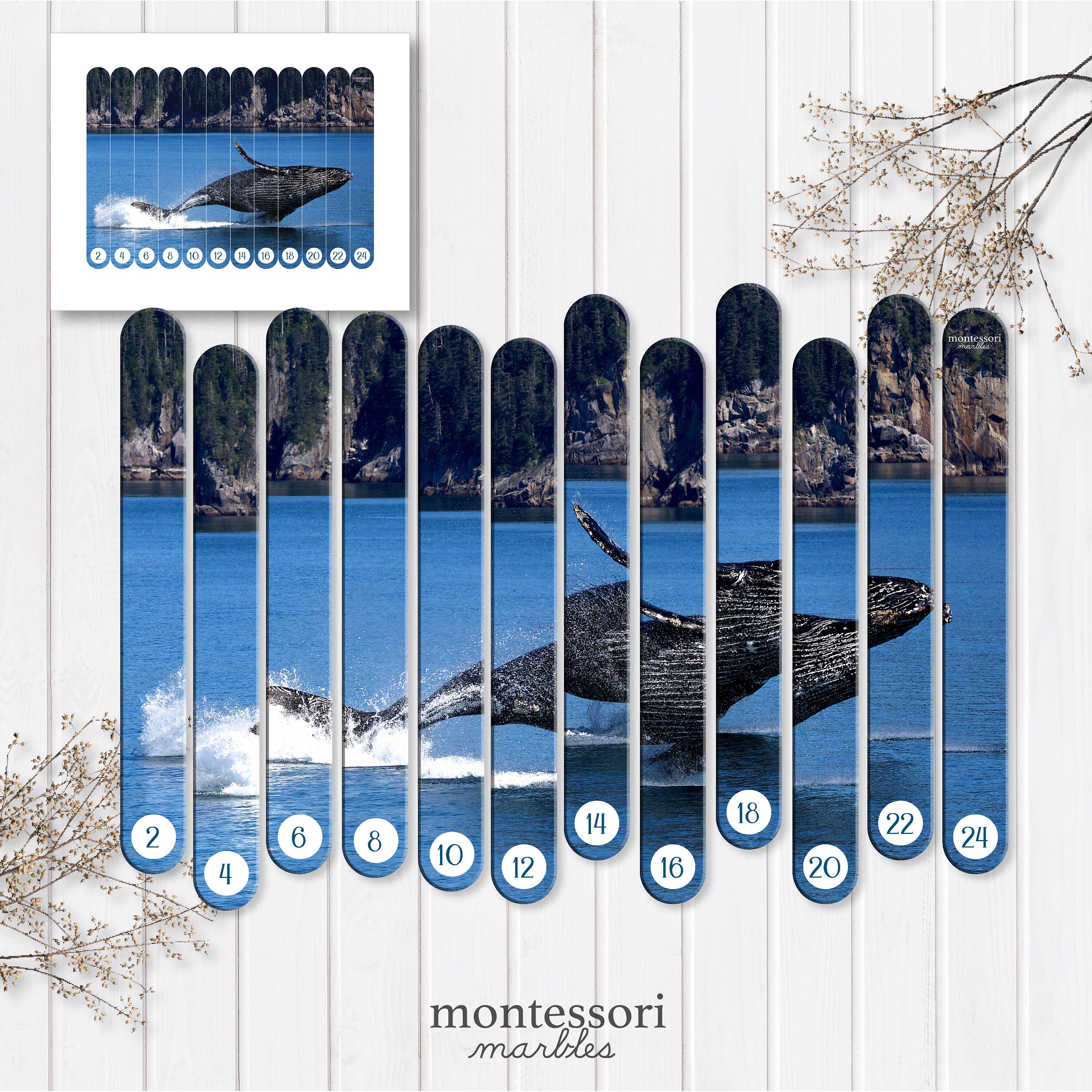 WHALES Skip Counting by 2s 3s 5s and 10s Early Math Math - Etsy