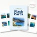 LANDFORMS Flash Cards Montessori Inspired Cards Social Studies ...