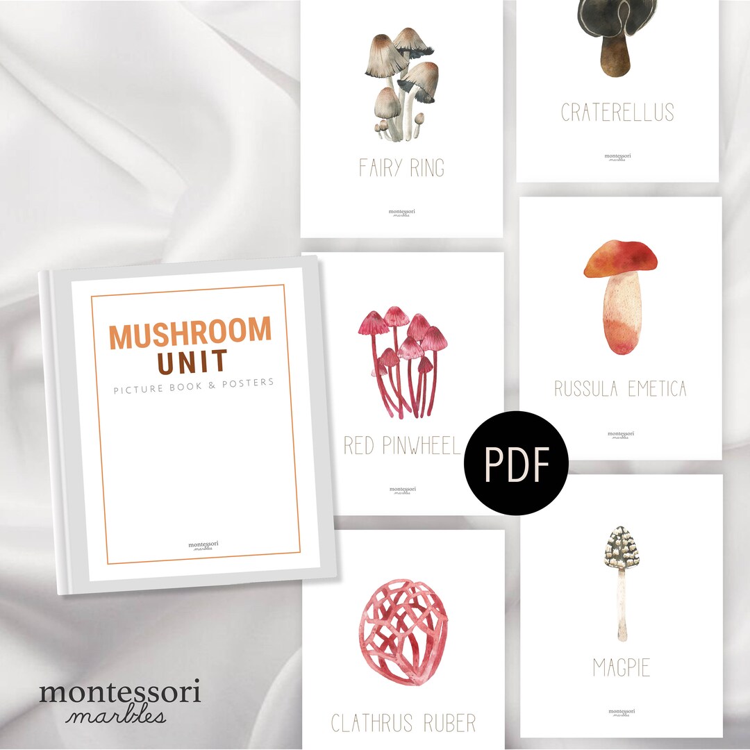 MUSHROOM UNIT Montessori Picture Book, Autumn Vocabulary Builder ...
