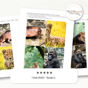 SAFARI ANIMALS Complete the Pictures | Montessori Inspired Visual ...