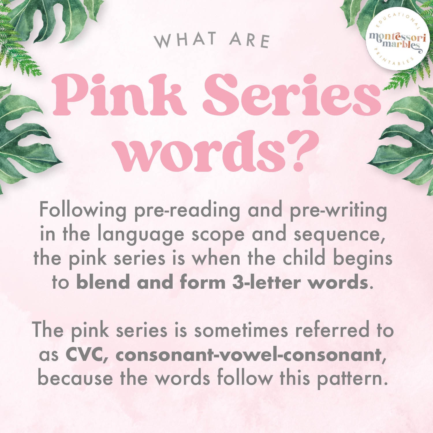 Cursive Pink Series Nomenclature Cards | Montessori CVC Word Reading ...