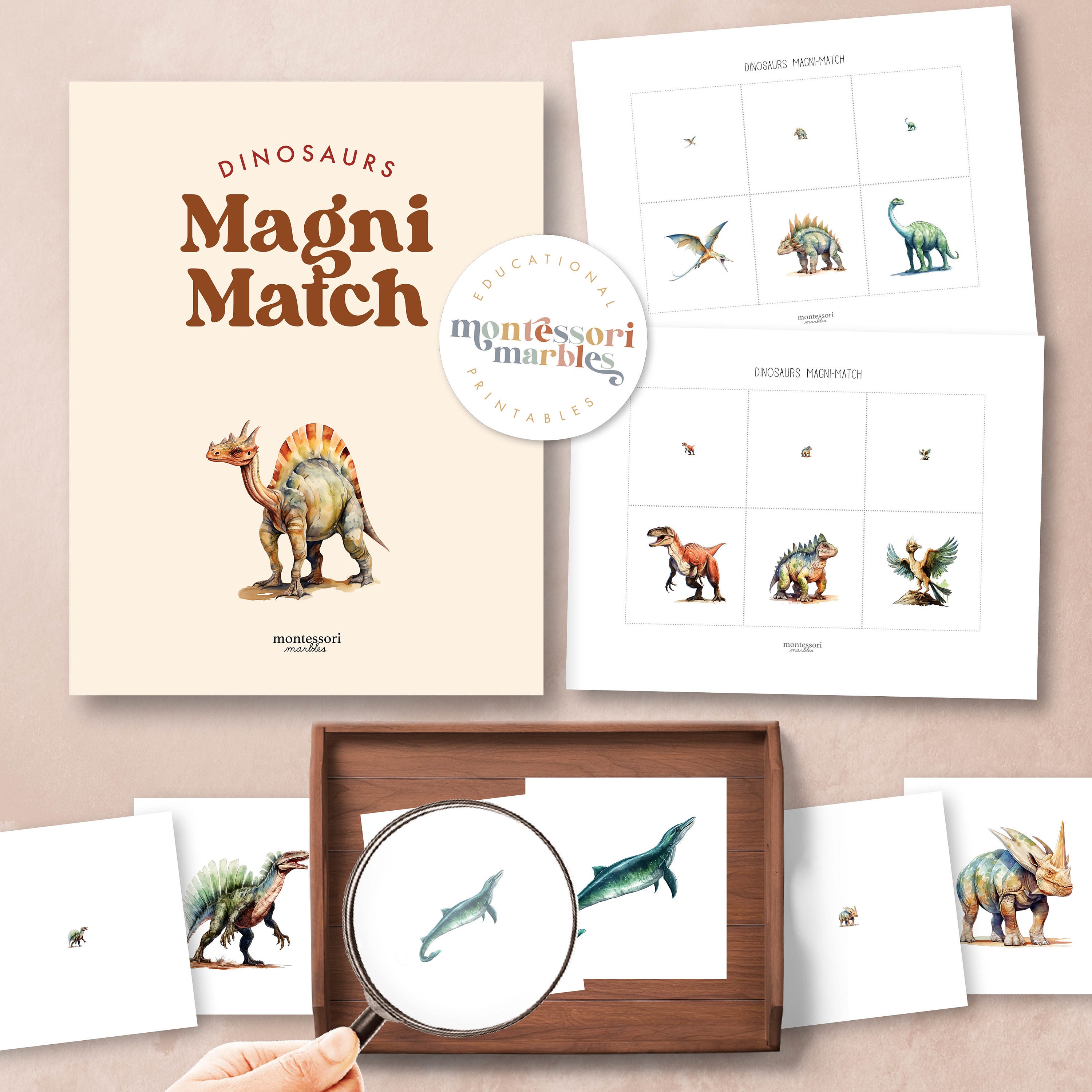 Dinosaurs Magnifying Matching Game | Montessori Visual Skills ...