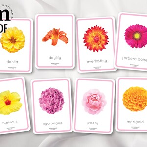 SPRING FLOWERS Flash Cards Montessori Inspired Printable - Etsy