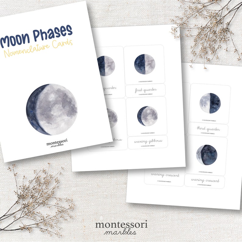 CURSIVE MOON PHASES Montessori Nomenclature Cards Montessori | Etsy